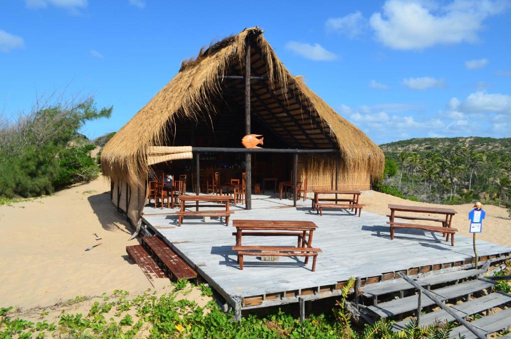 Discover Mango Beach Lodge: Your tropical paradise in Tofo, Mozambique ...