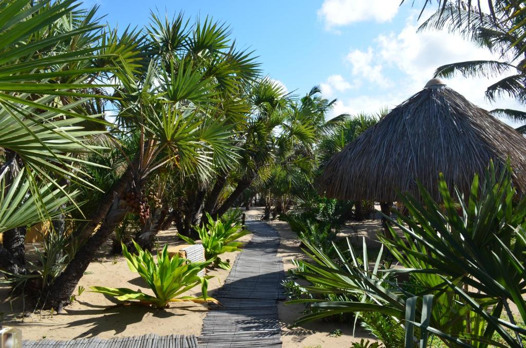 Discover Mango Beach Lodge: Your tropical paradise in Tofo, Mozambique ...