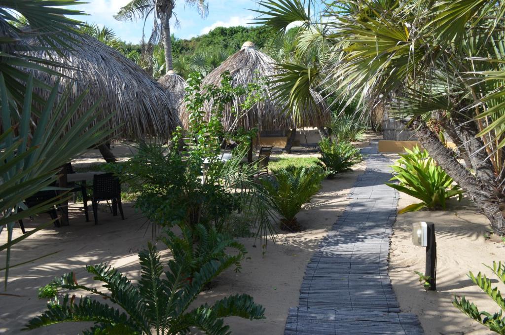 Discover Mango Beach Lodge: Your tropical paradise in Tofo, Mozambique ...