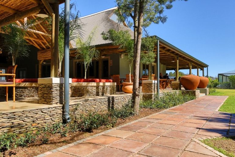 Addo Wildlife – where nature comes to life - Home Food and Travel