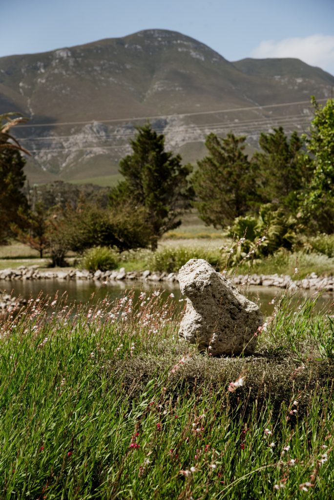 Springfontein Wine Estate: Where Comfort, Cuisine & Country Charm ...
